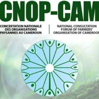 CNOP-CAM – CONCERTATION NATIONALE DES ORGANISATIONS PAYSANNES AU CAMEROUN